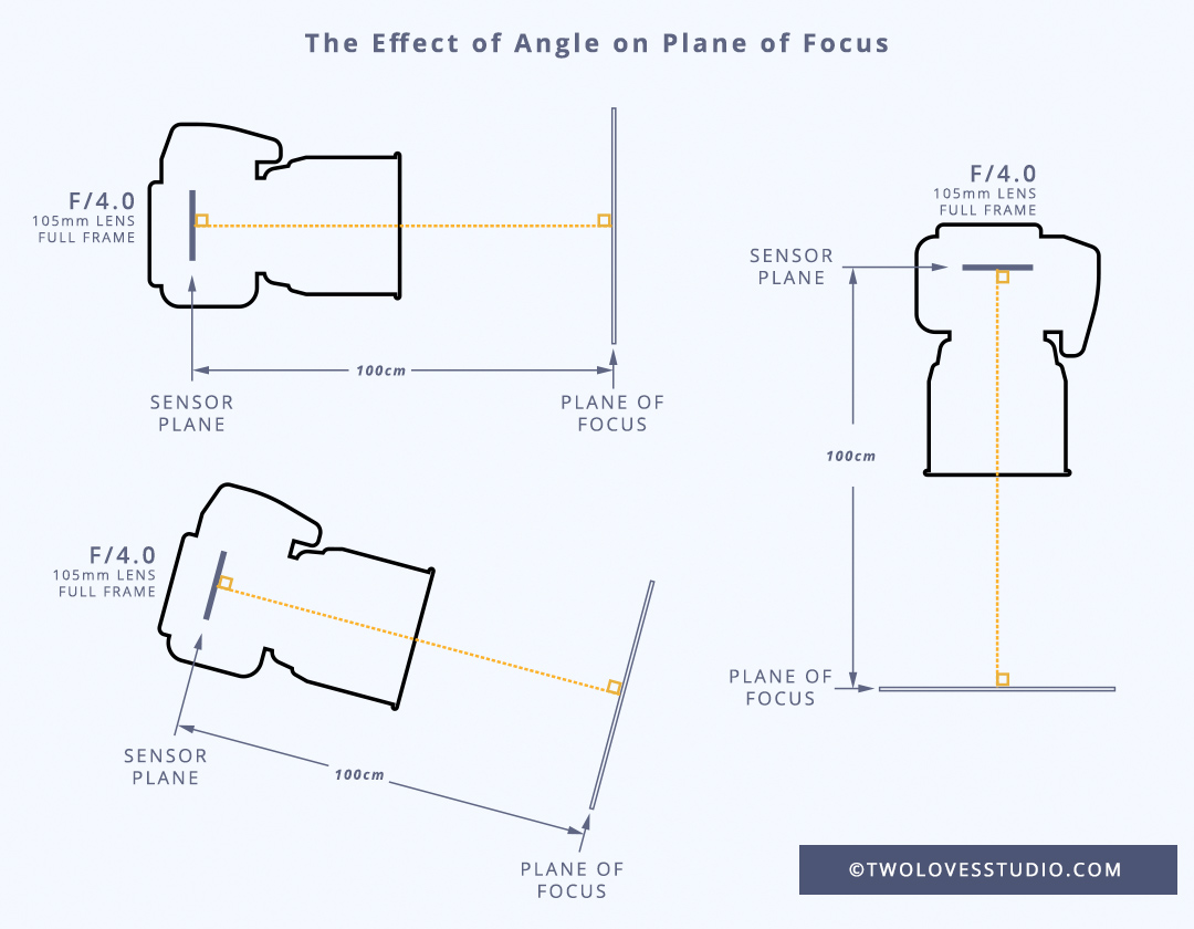 The Secret of Macro Food Photography: Plane of Focus.